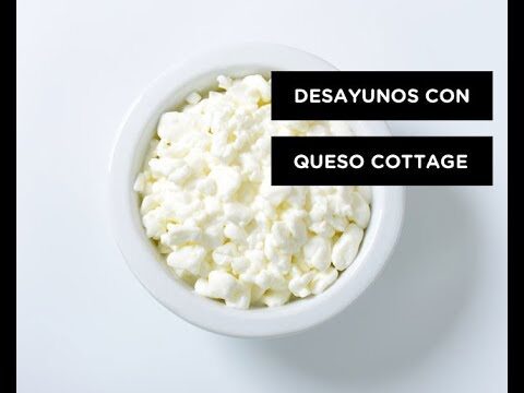 Deliciosas recetas con cottage cheese para sorprender | Actualizado ...