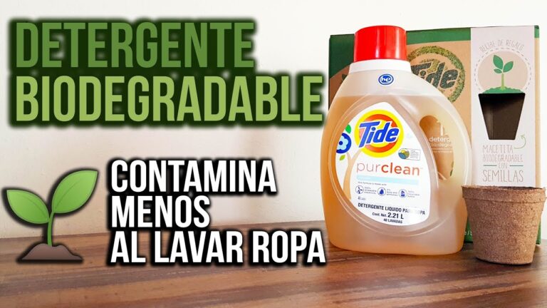 Jabón biodegradable para ropa: la mejor opción ecológica | Actualizado ...