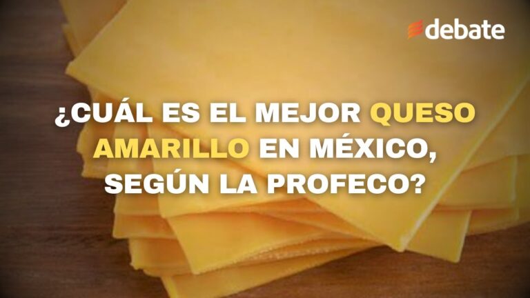 Queso Amarillo Líquido: Receta Casera y Su Precio en el Mercado ...