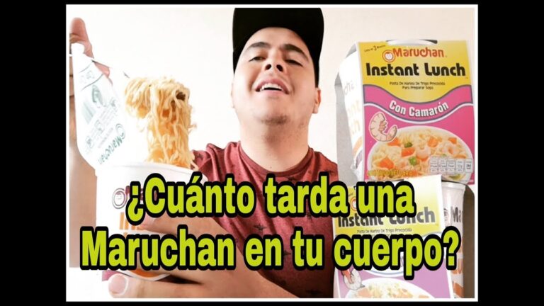 Tiempo de digestión de la sopa Maruchan | Actualizado mayo 2026