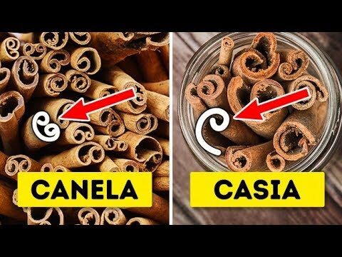 Diferencias entre la canela falsa y la verdadera | Actualizado junio 2026