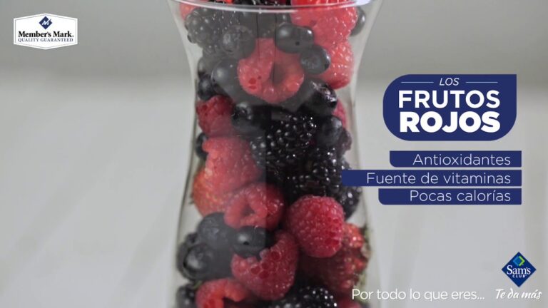 Beneficios del Té de Frutos Rojos de Sams | Actualizado diciembre 2025