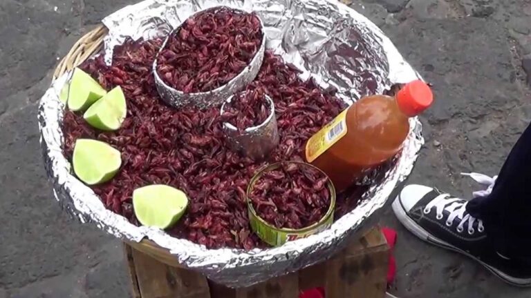 Deliciosa Receta de Acociles: Cómo Preparar Comida Irresistible con ...