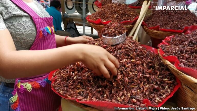 Chapulines: Descubre el Precio y Cómo Prepararlos en Casa | Actualizado ...