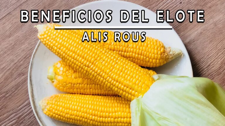 Beneficios del Elote: ¿Para Qué Sirve? | Actualizado mayo 2026