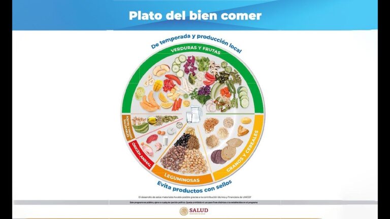El Plato del Buen Comer: Guía Actualizada para una Alimentación ...