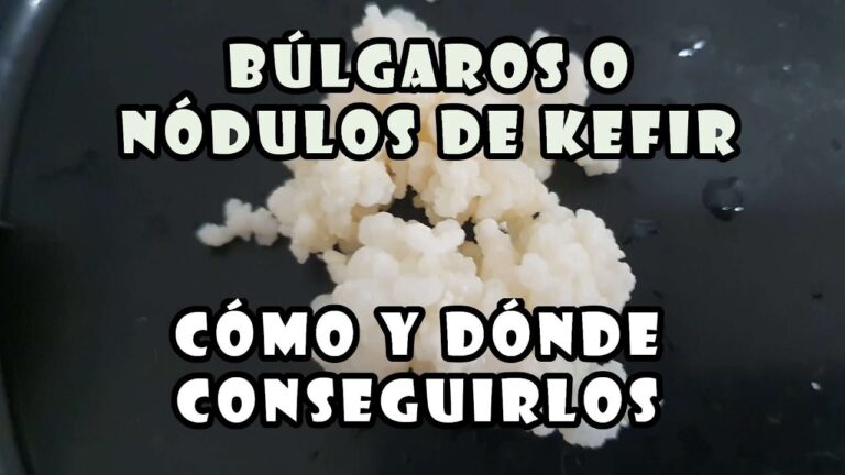 Dónde Comprar Búlgaros de Leche Eficazmente | Actualizado junio 2026