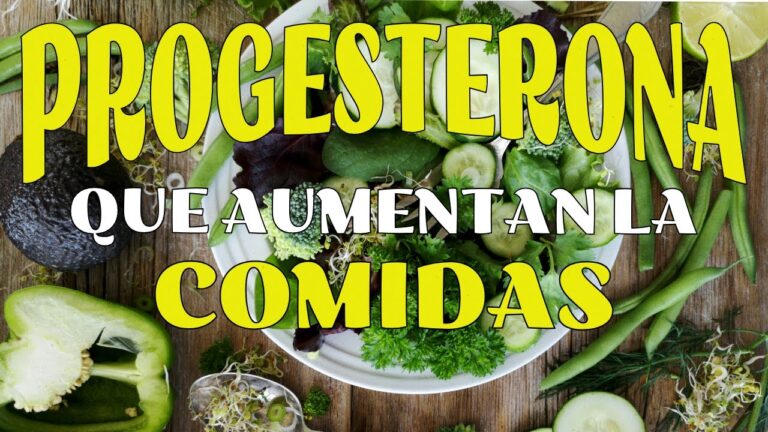 Alimentos que Tienen Progesterona: Descubre los Mejores para Regular Tu ...
