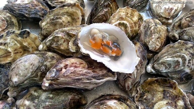 ¿Cómo son los ostiones? Descubre su sabor, beneficios y recetas ...