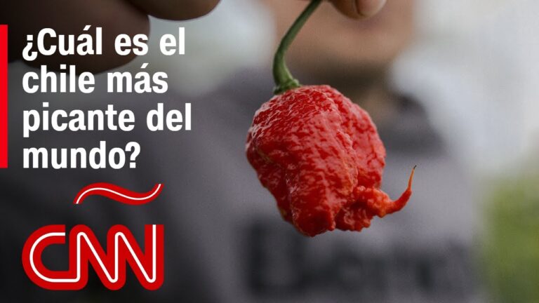 Los Chiles Más Picosos del Mundo: Un Viaje al Sabor Extremado ...