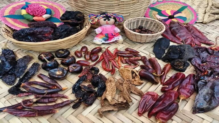 Deliciosas Recetas con Chiles Secos Mexicanos: Sazona tus Platillos ...