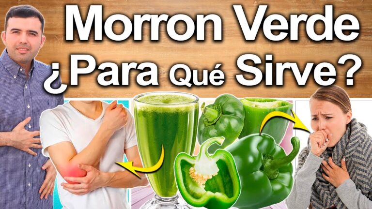 Deliciosas Recetas con Pimiento Morrón Verde: Tips y Preparaciones ...
