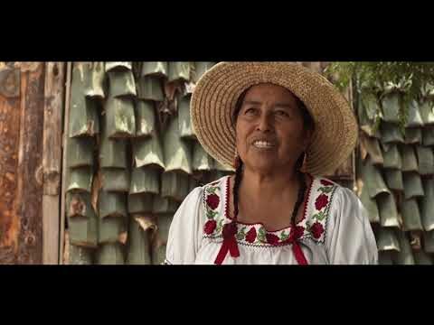 Comida Tradicional de los Otomíes: Sabores Auténticos de la Cultura ...