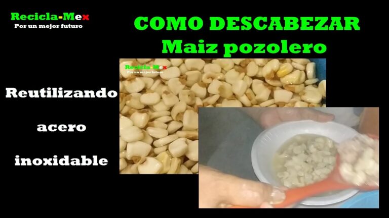 Deliciosa Receta de Maíz Pozolero Descabezado: ¡Un Plato Tradicional ...