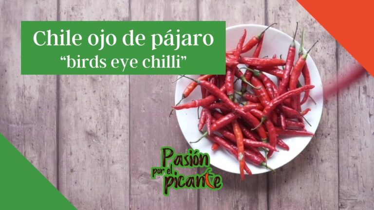 Deliciosa Receta con Chile Ojo de Pájaros: Sabor Picante para Tus ...