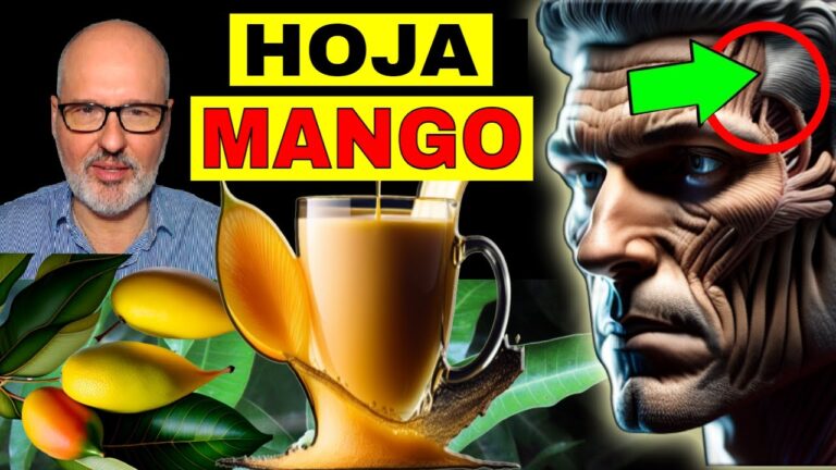 Beneficios de la Hoja de Mango: Usos y Propiedades | Actualizado enero 2026